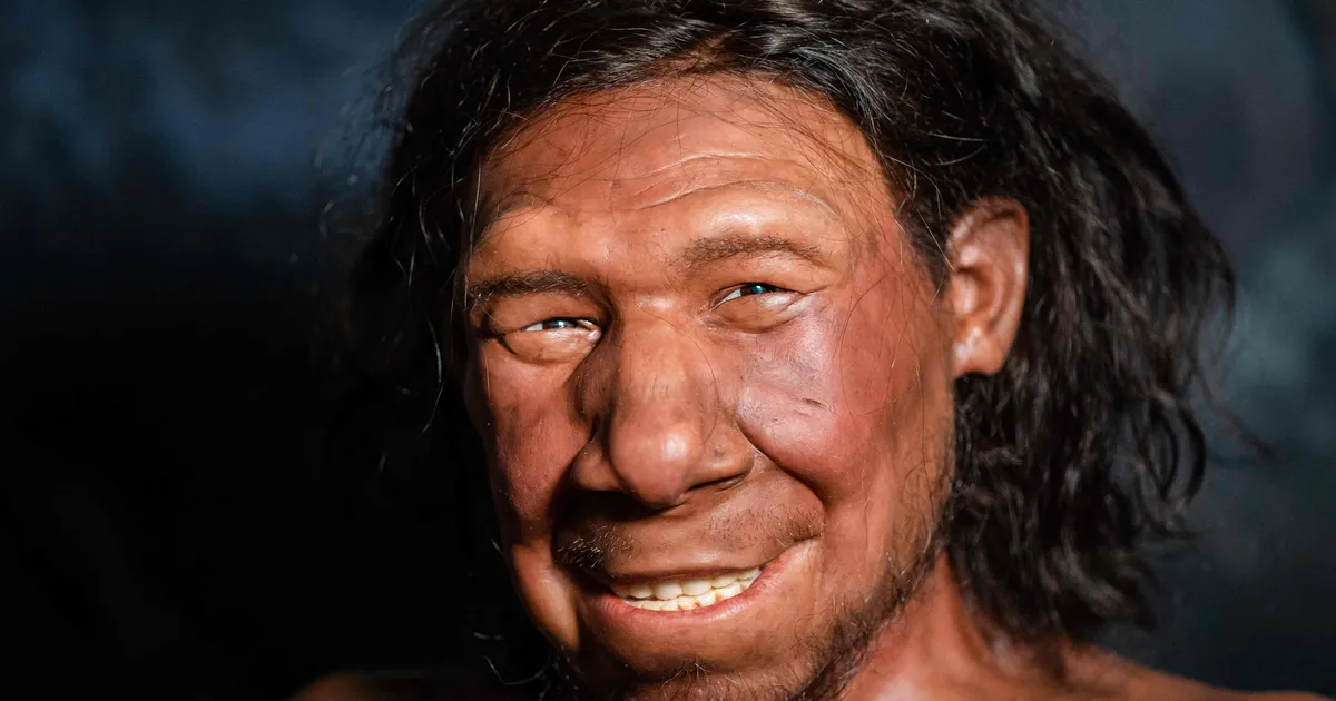 IIDSED HIPID? Neandertallased ei olnudki lillelapsed nagu 1960ndatel arvati