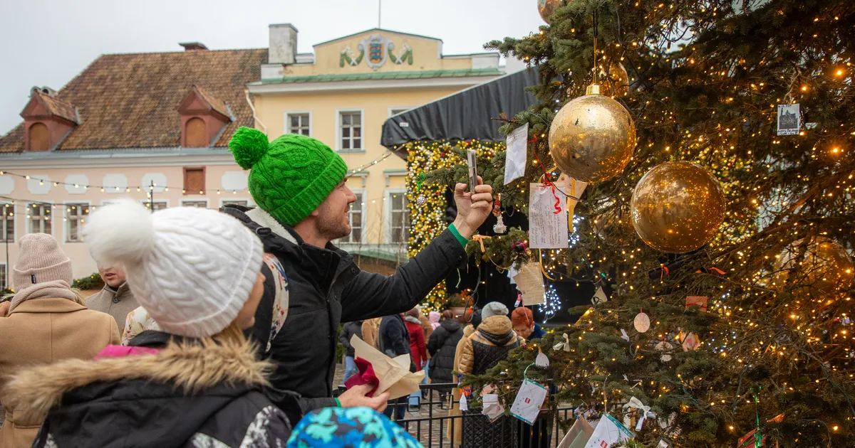 ИССЛЕДОВАНИЕ Запах рождественской елки оказывает на здоровье ...