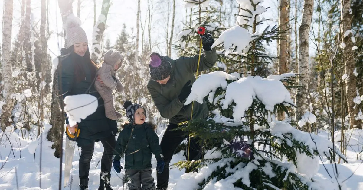 haridusprogramm - Järva Teataja