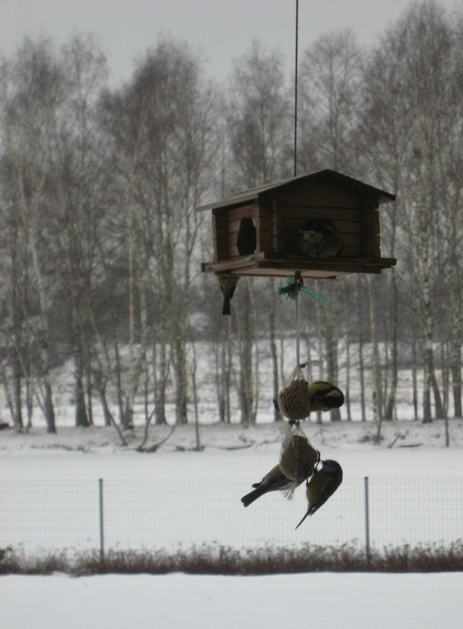 Ilm läheb nädala alguses soojemaks