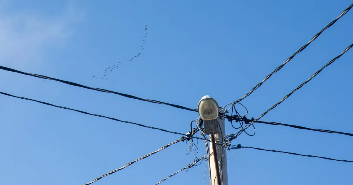 Voolu all elektrikaabel seiskas liikluse