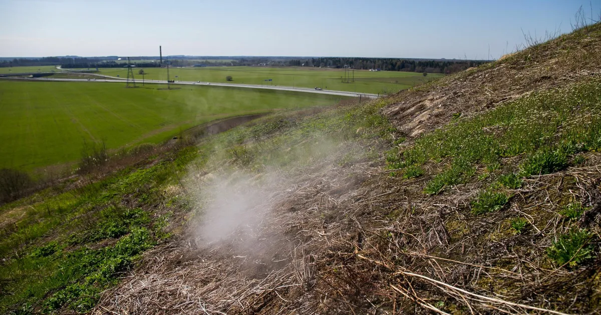 PEETER KOPPEL Vaeseks hakkamise õilsus kipub olema küsitav