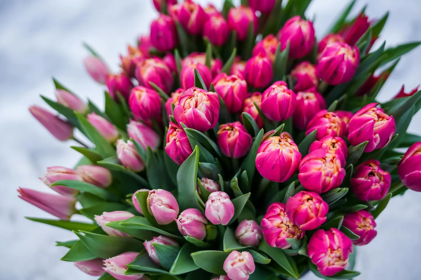 ÕNNITLEME! Väärikad sünnipäevalapsed Saare- ja Muhumaal