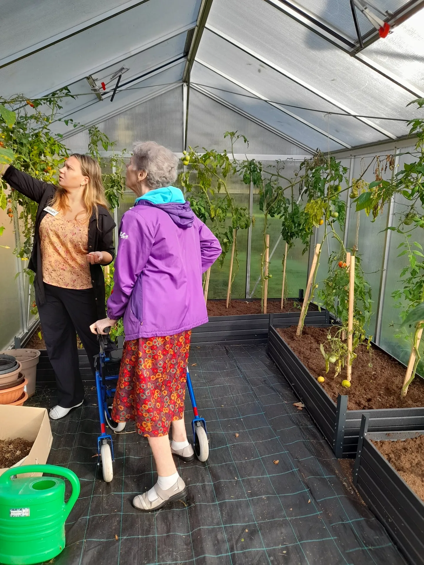 Eakatekodu juurde rajatud kasvuhoones toimetamine sai elanike seas ...