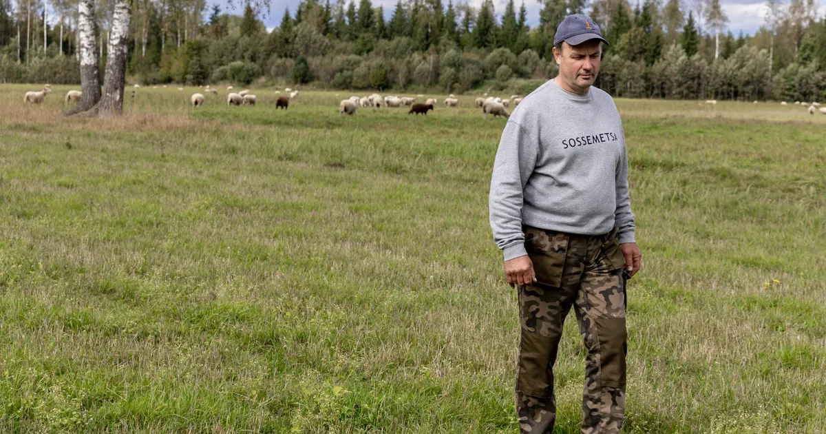 VIDEO Talumehed peavad rahvusloomaga lootusetut võitlust