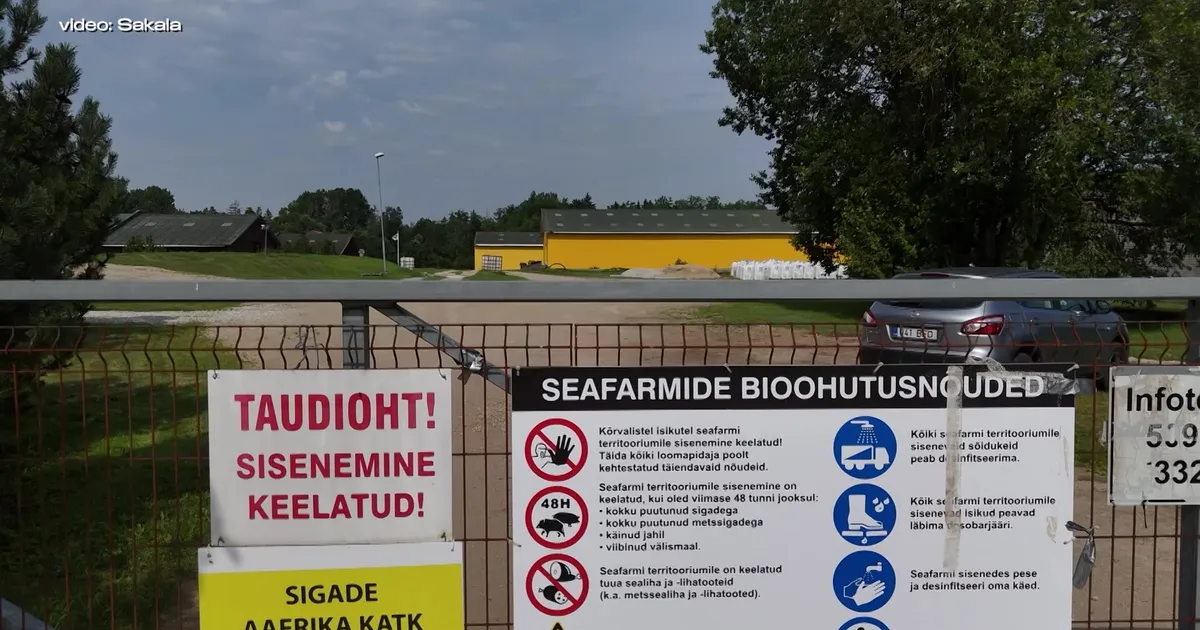 Sigade Aafrika katk levib edasi!