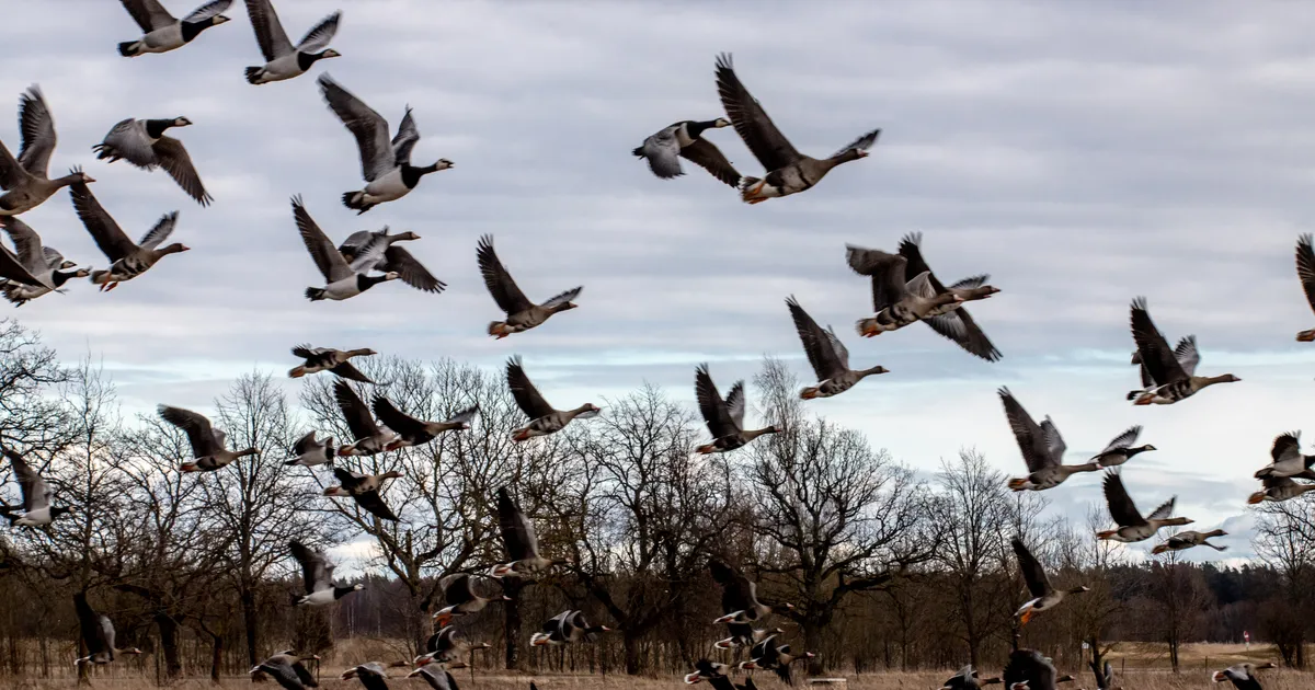 Teisipäeval tuleb kuni 17 kraadi sooja