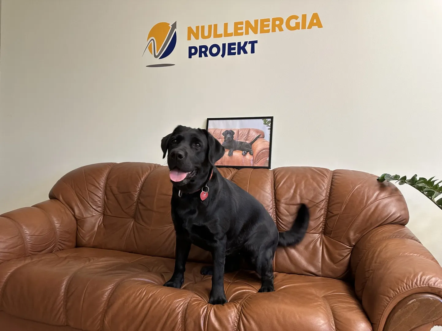 5 PARIMAT «Lemmik tööl» fotokonkursi võitjad on selgunud!