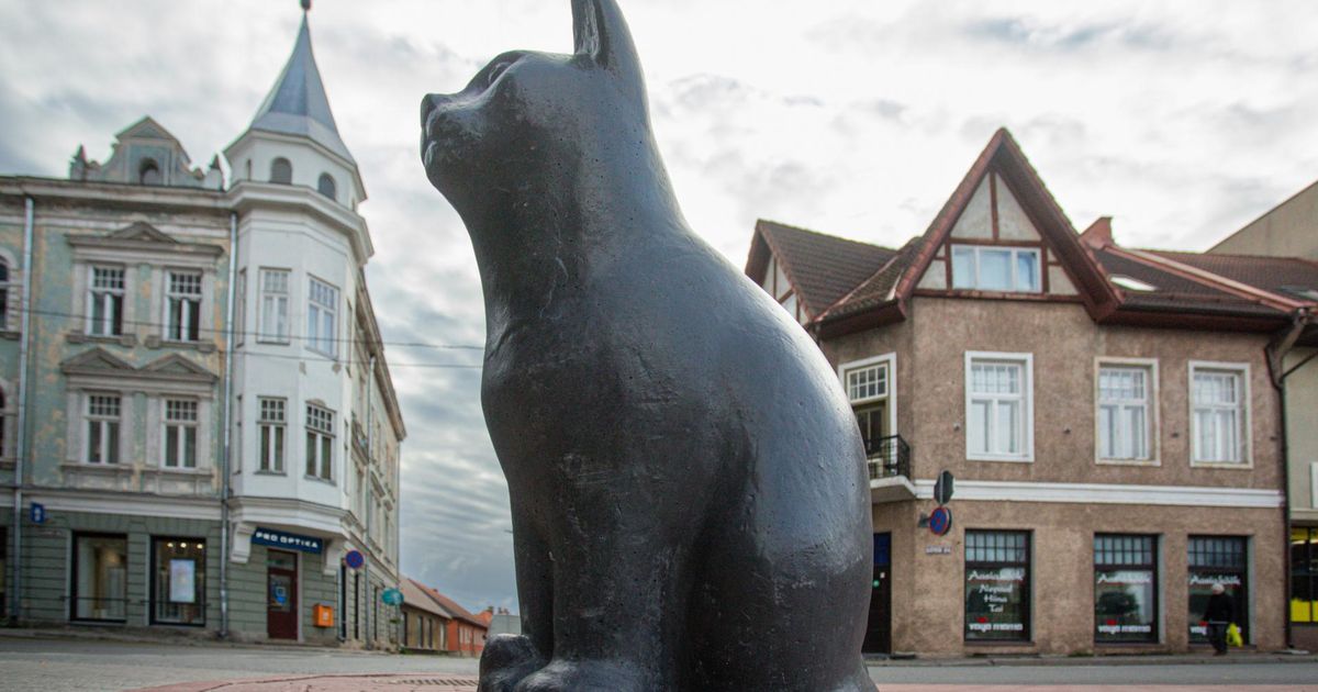 Viljandi kolib kassid talveks garaaži