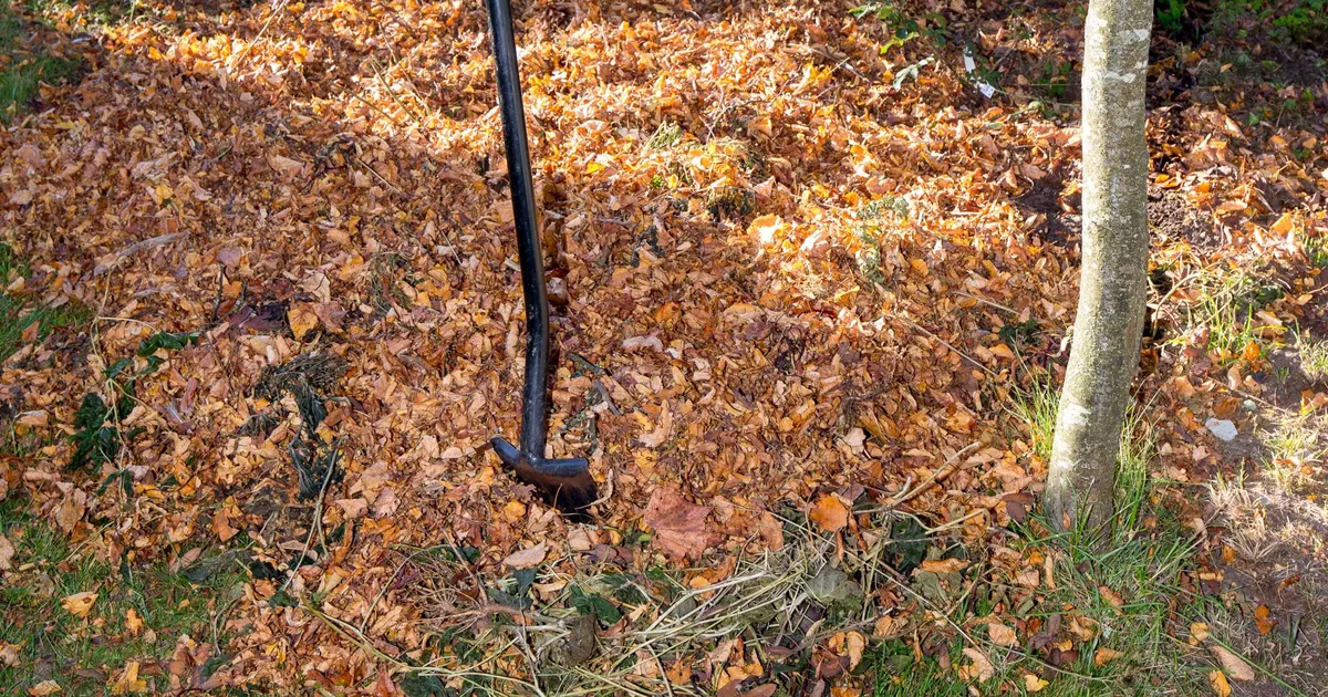 Pange puulehed aia kasuks tööle