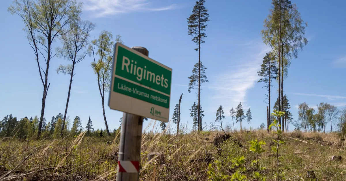 RMK korraldab Lindmetsa ja Konati riigimetsa tuleviku arutelu