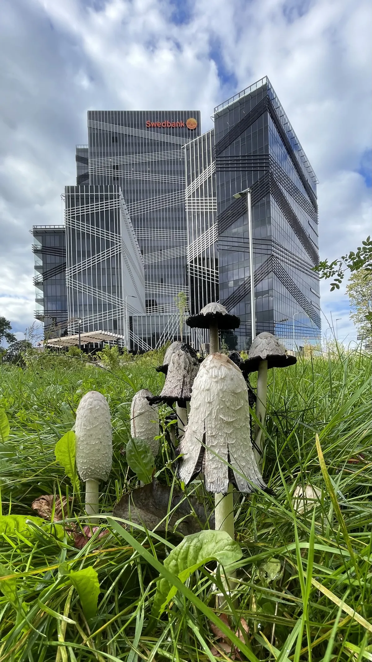 LOODUS ON IMELINE Vaata Eesti Looduse fotovõistluse võidutöid