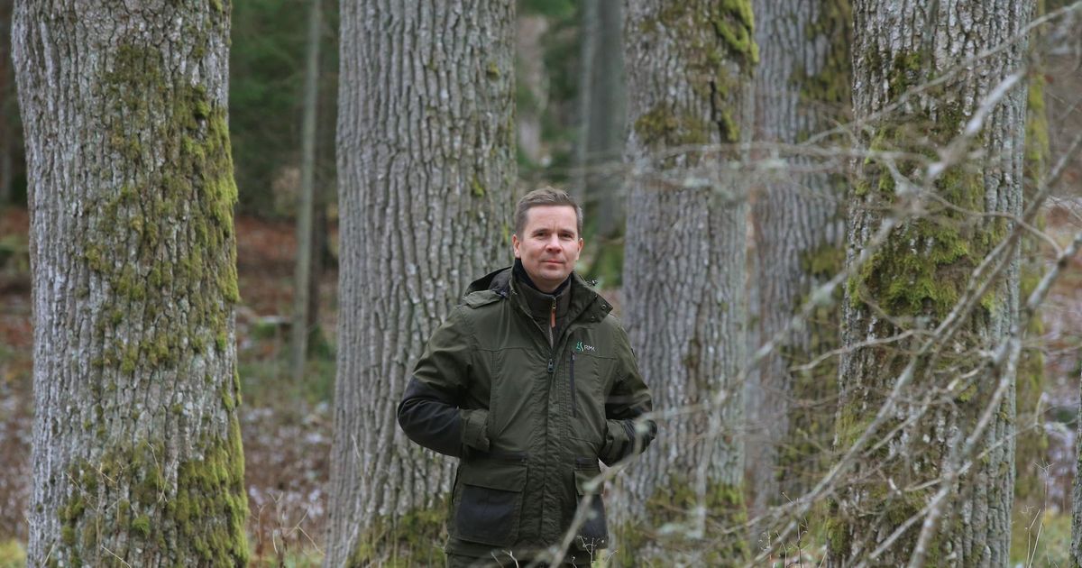 NÄDALA PERSOON Mikk Marran: avalik arutelu RMK juhi palga suuruse üle ...