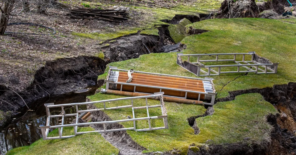 TIPP-25 Suur maalihe, läbi seina põrutanud üle linna Vinski, Kanaküla ...