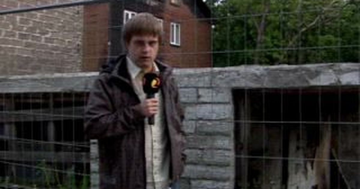 Teletöö telgitagused: Imre Kaasi õpetab siil põõsast?