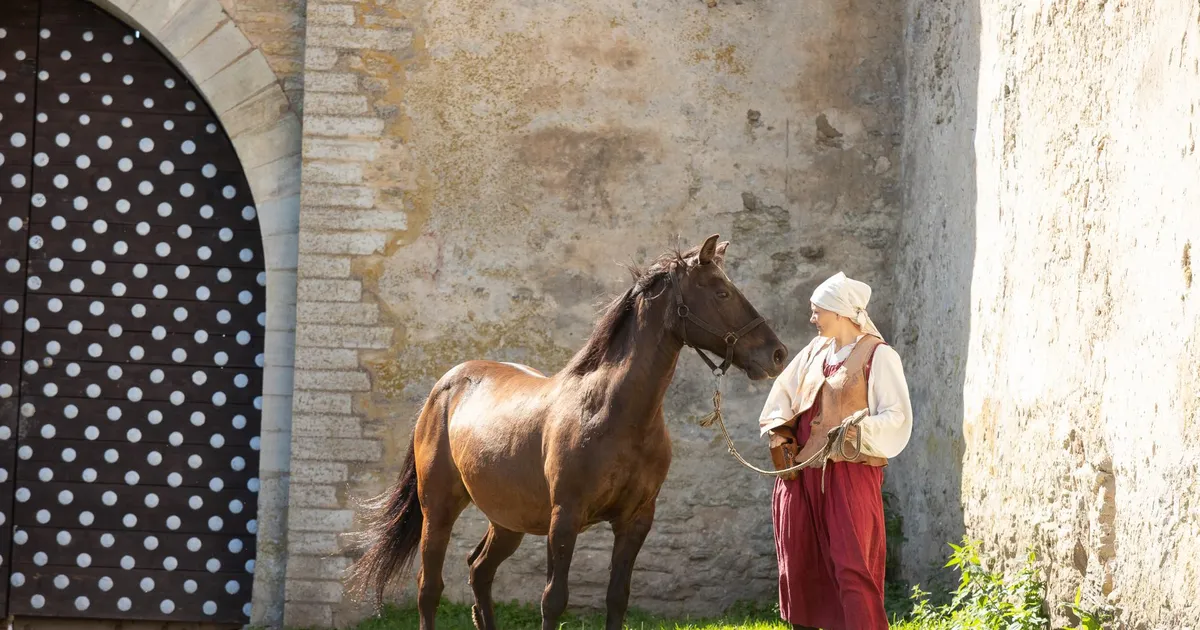 Asjatundmatud loomasõbrad toidavad salaja linnuse loomi ja panevad ...