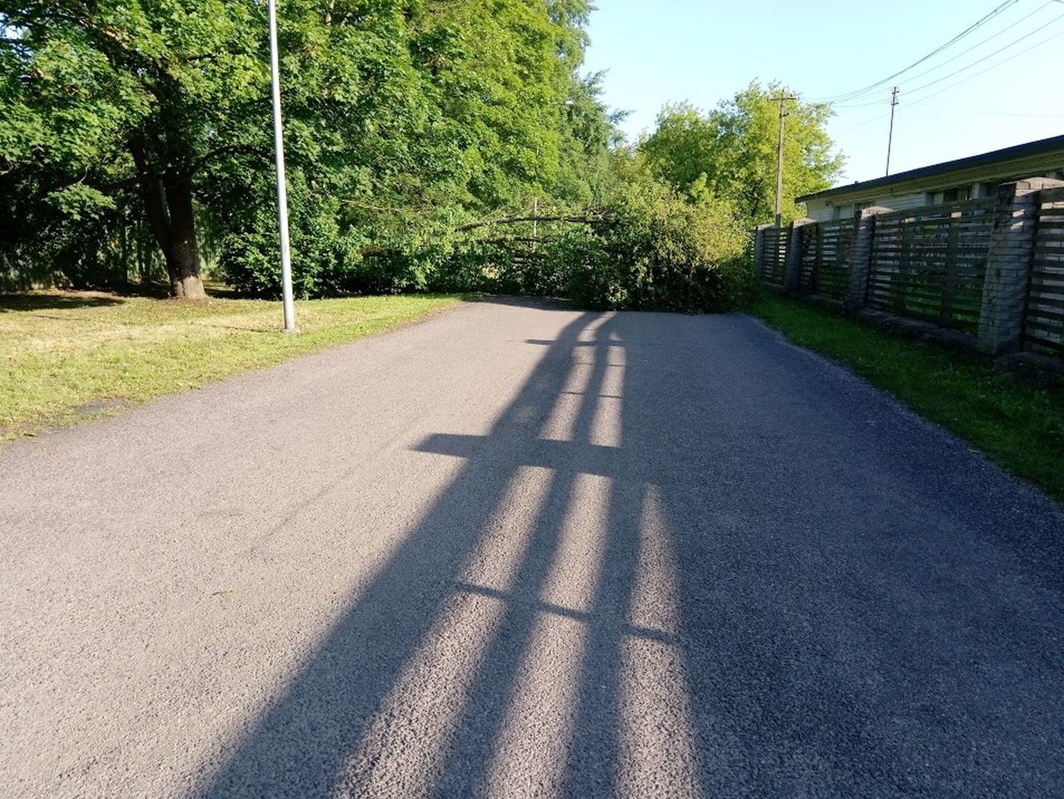 Tallinnas Merimetsa teel segab liiklust teele langenud puu - Postimees ...