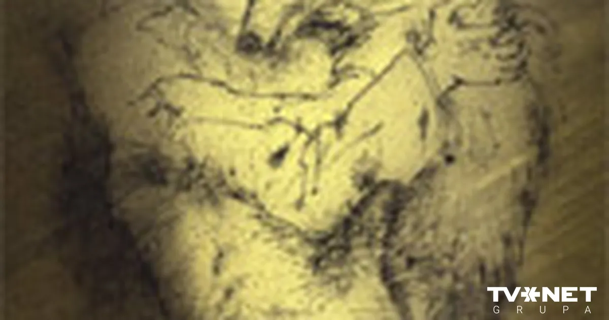 Hermanis Hese “Stepes Vilks”