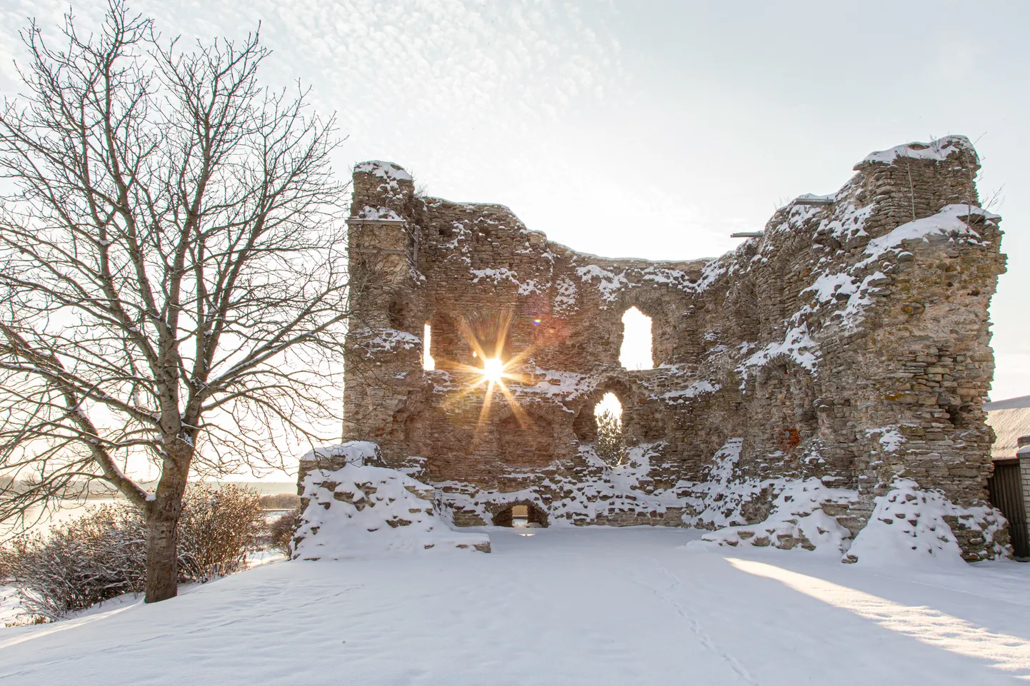 Vasknarvas kees sada aastat tagasi vilgas elu