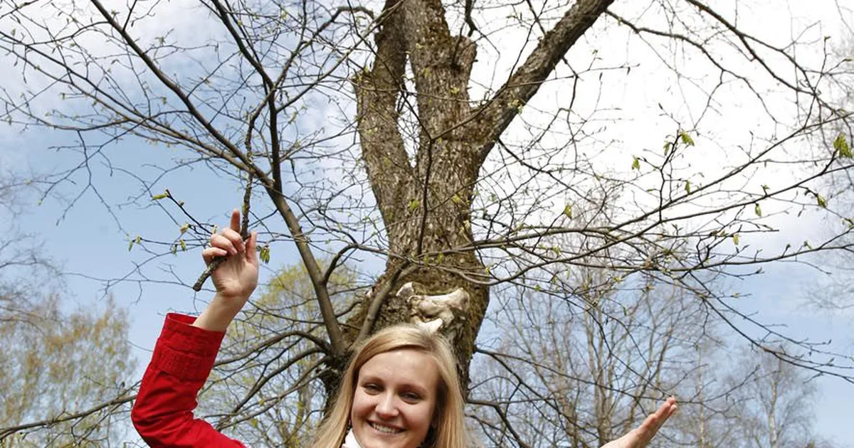 Internet lihtsustab sugupuu uurimist