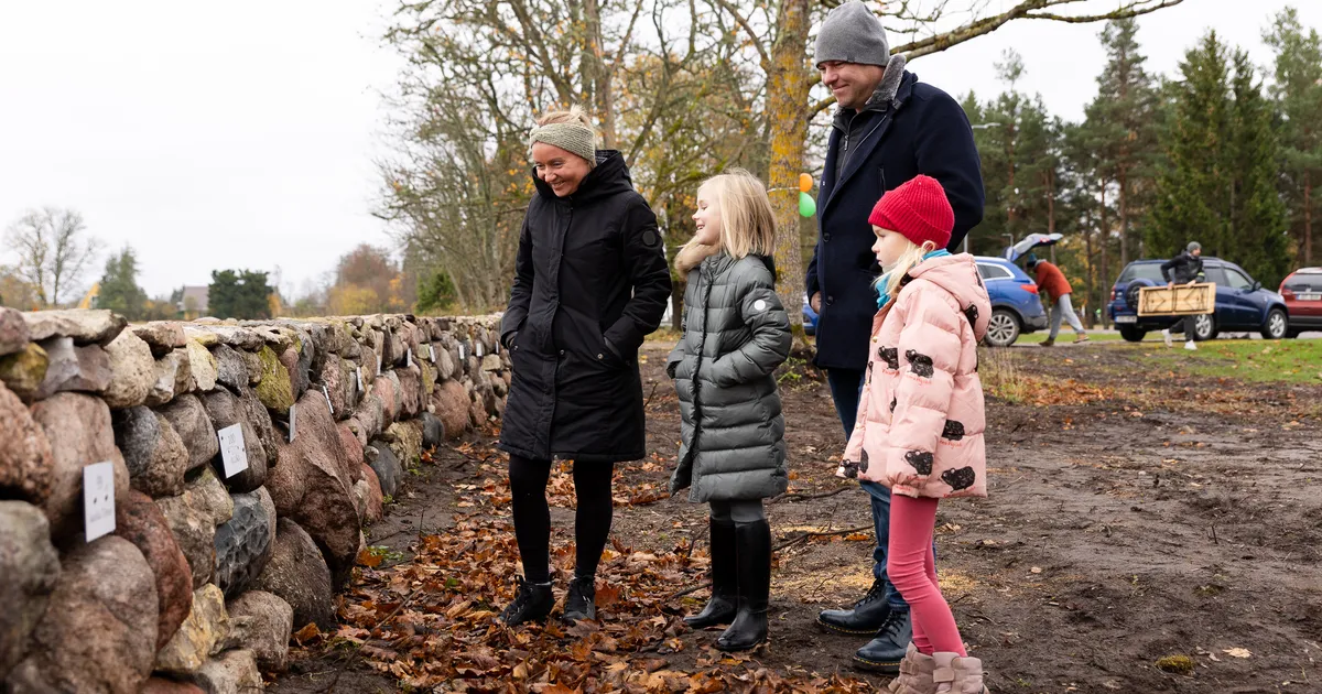 UUS KIVIAIAPAKKUMINE ''Müük on olnud hullumeelne, telefon on täiesti ...