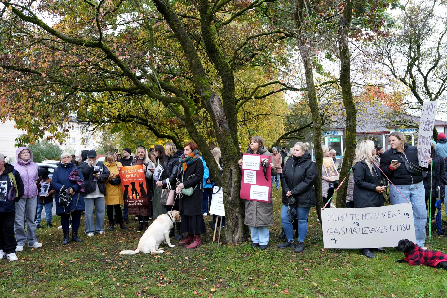 VIDEO Bauskā piketā pieprasīja deputātu iesaisti lietā par suņu nošaušanu