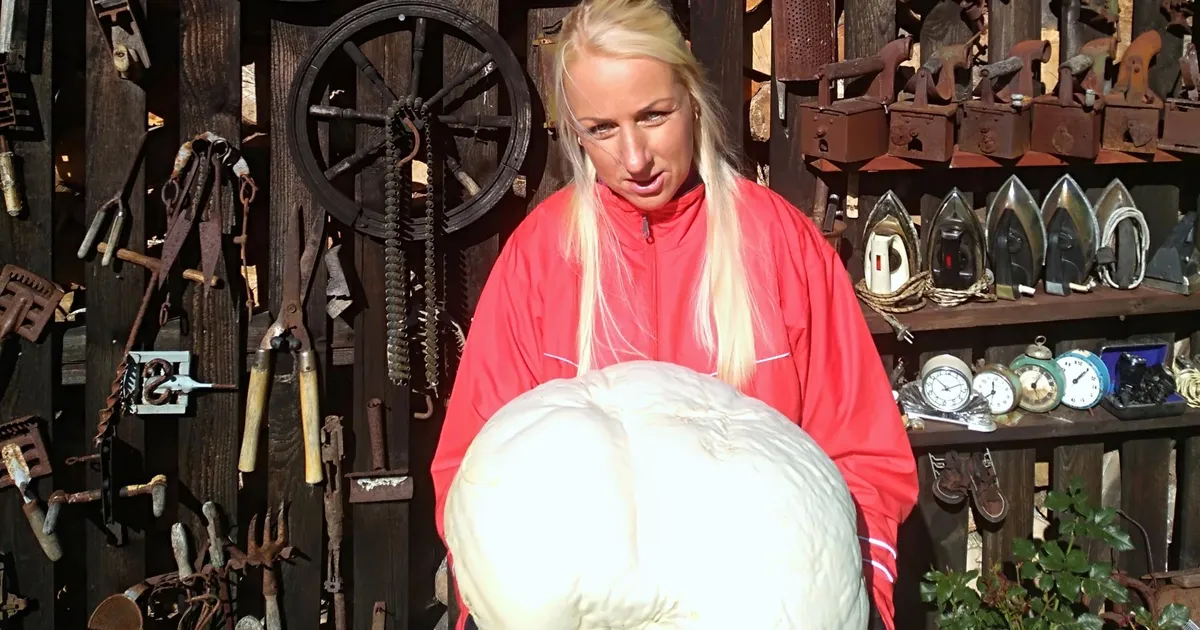 Valgamaa naised leidsid kõrvitsasuuruse hiidmuna