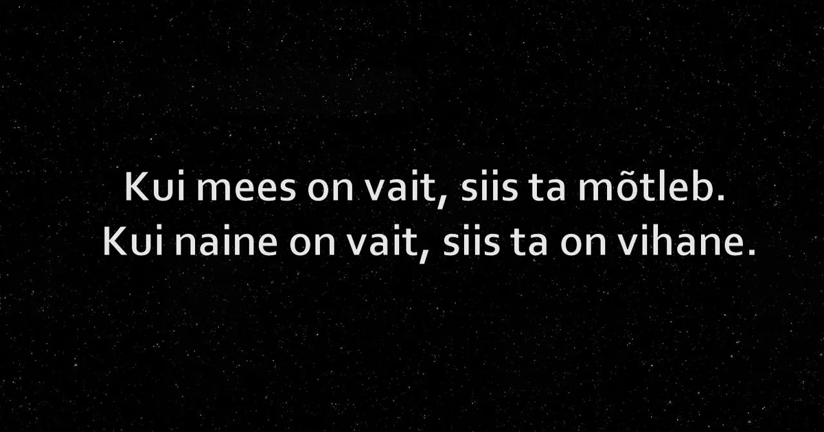 Kui mees on vait, siis ta mõtleb