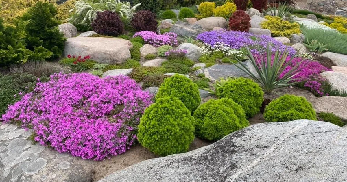 Tegusad Vao naised kutsuvad kiviktaimla töötuppa