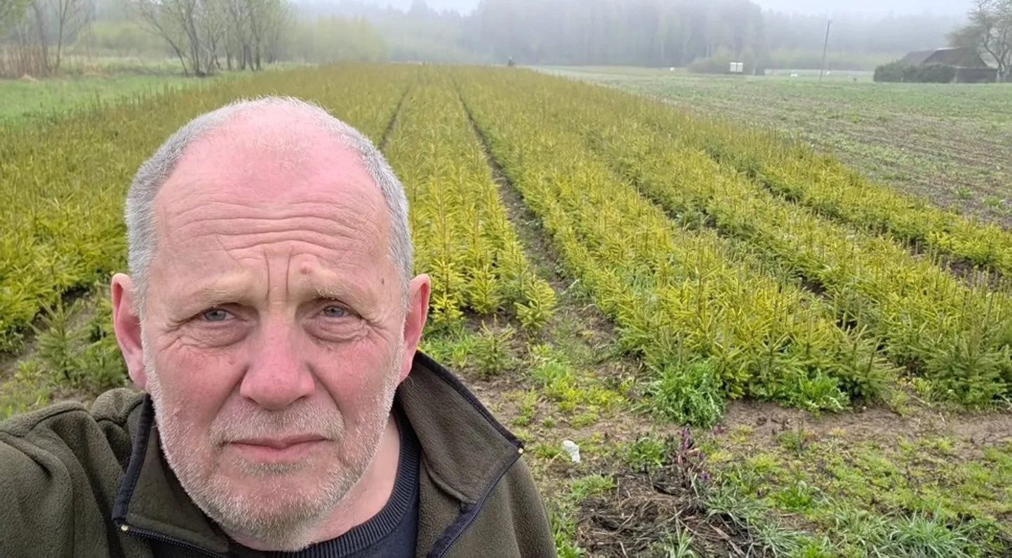 Riigikogu liikme Peeter Ernitsa seakatku postitus ei jätnud kedagi ...