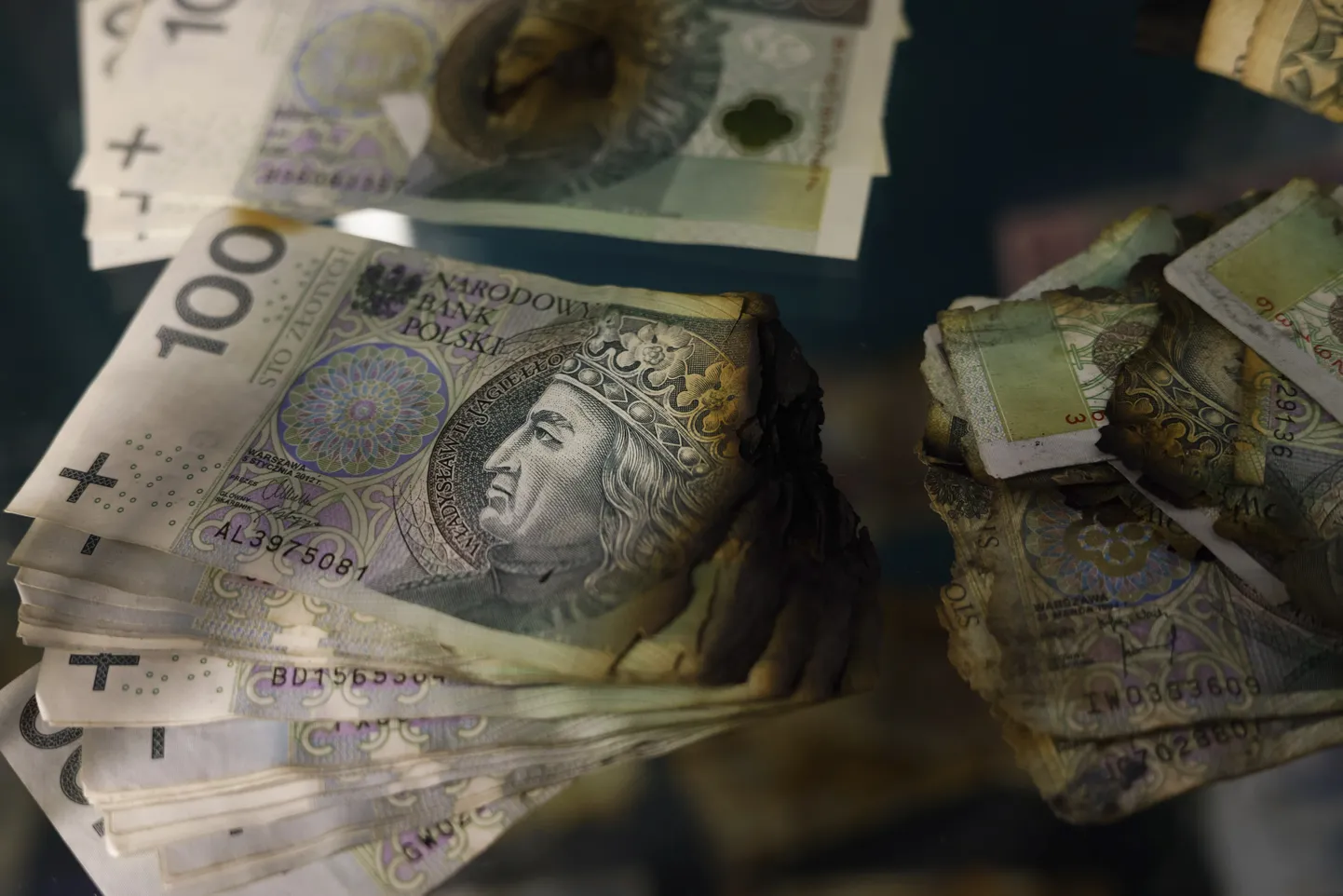 Poola rahandusministeerium korraldas pangaaktsiatele veresauna