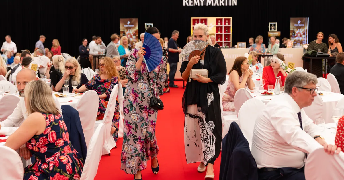 GALERII Daegu ooperiteatri lavastaja: "Saaremaa on nagu soe ema kallistus"