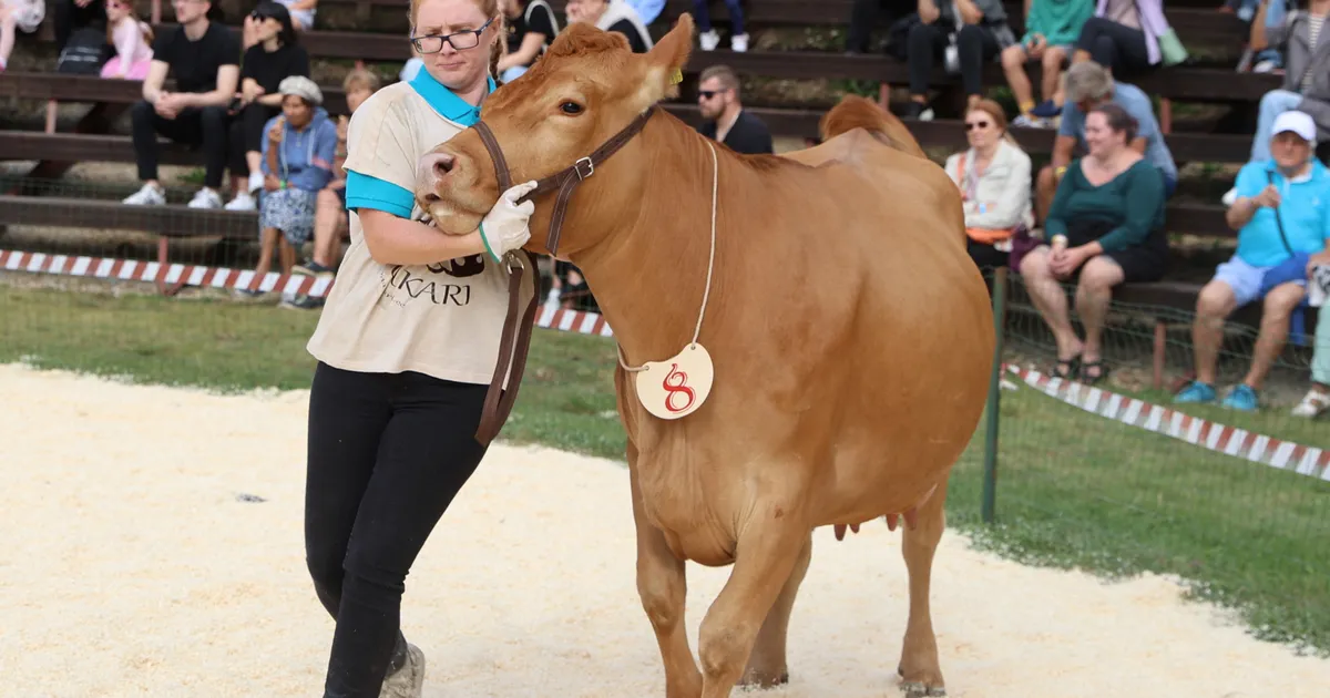 PILDID Lille, Kaneel, Niki, Siara ja Leili ‒ Ülenurmel valiti kauneim ...