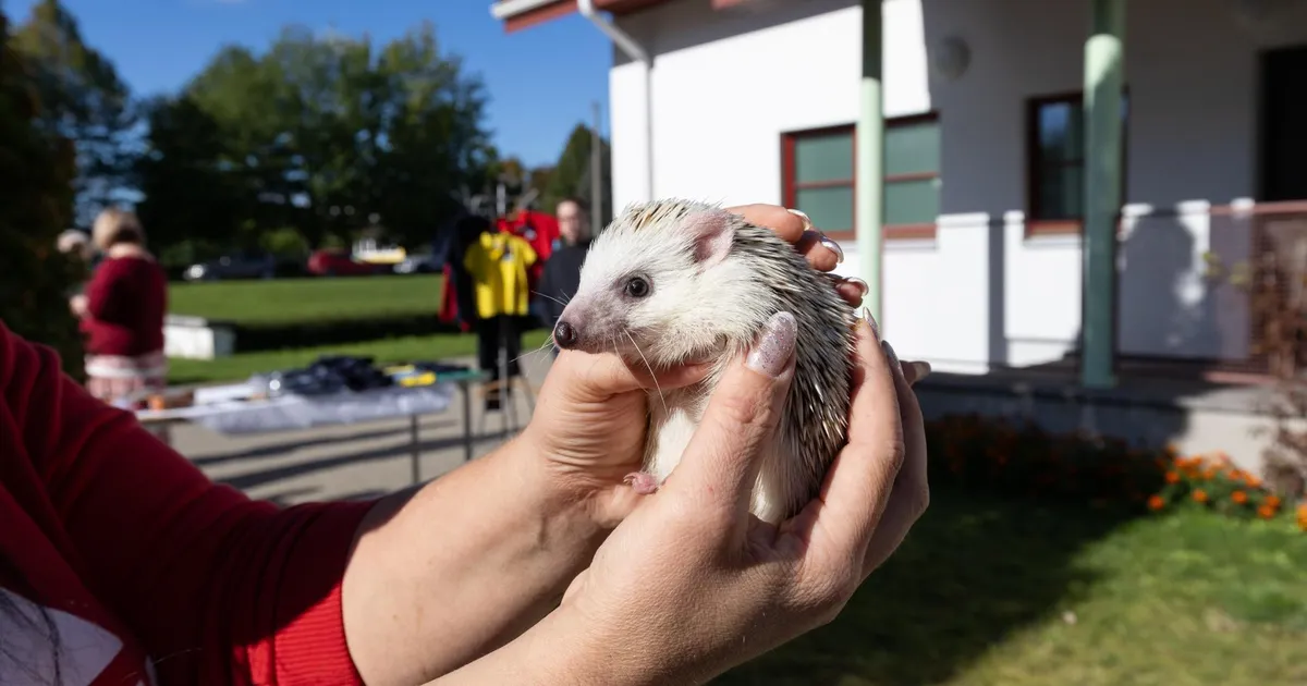 Uhtna koolilaat pakkus elevust nii lastele kui ka vanematele